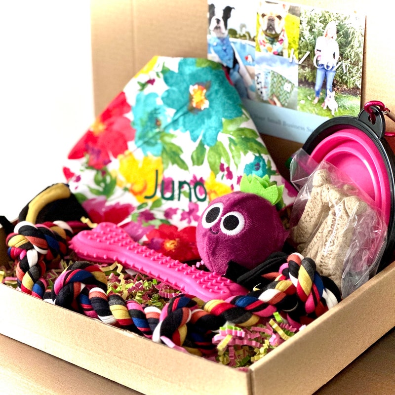 Dog Gift Box - 60+ Gift Ideas for 2024