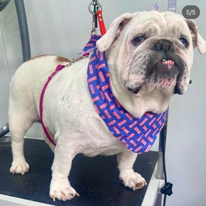 Dog Grooming Bandana Set Pet Groomer Bandana Dog Grooming Business ...