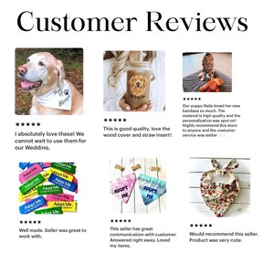 New Puppy Gift Box Family Pet Starter Kit Personalized Care Welcome ...