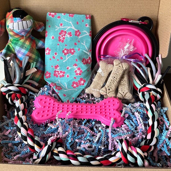 New Puppy Gift - 60+ Gift Ideas for 2024