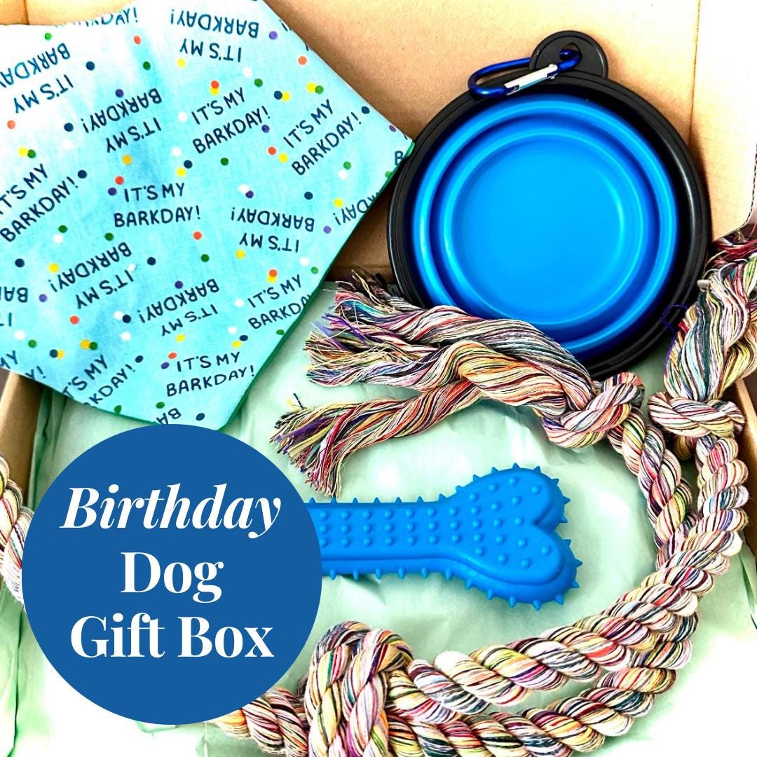 Birthday Dog Gift Box for Boy Puppy Custom Puppy Birthday Present ...