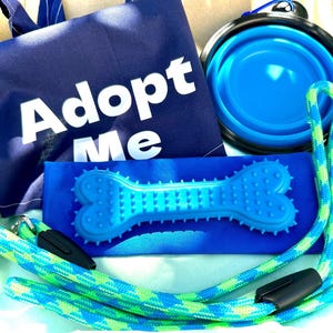 Foster Dog Mom Essentials Gift Box Perfect Pet Adoption Event Gift ...