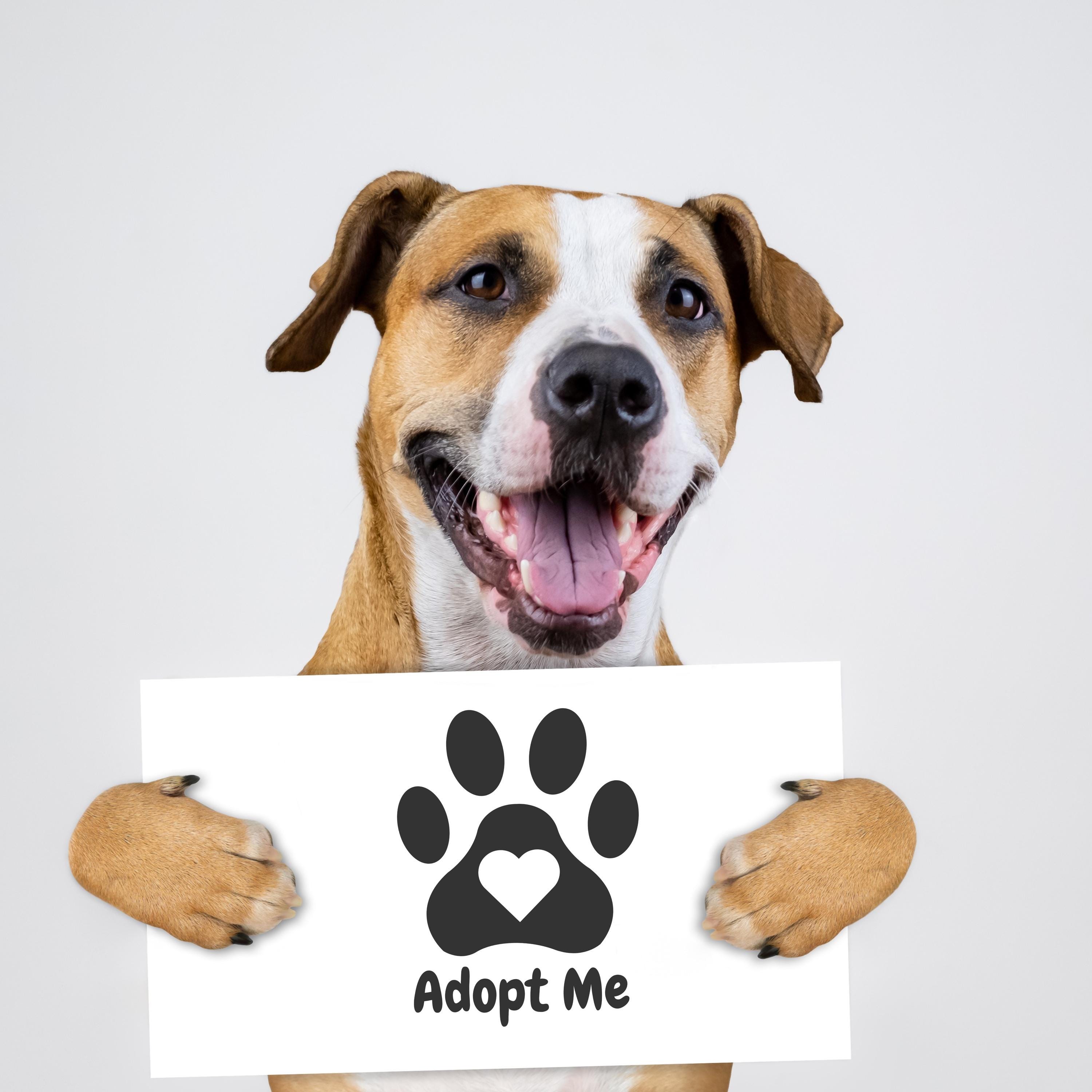 Adopt Me PNG Instant Download SVG Cut File Dog Rescue Organization DIY ...