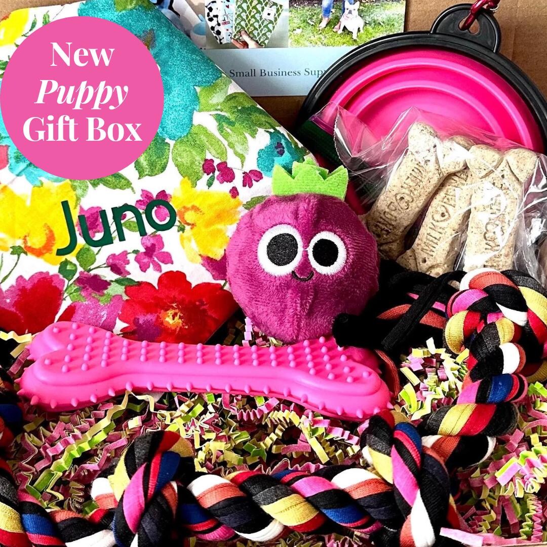 New Puppy Gift Box Family Pet Starter Kit Personalized Care Welcome ...