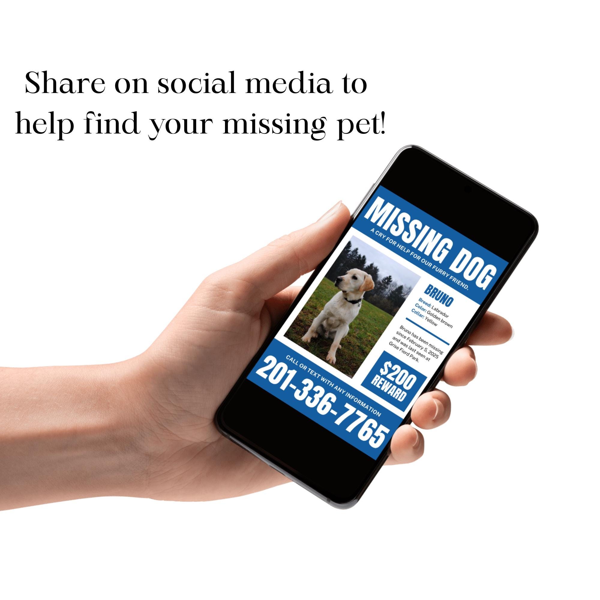 Missing Dog Flyer Editable Template Printable Lost Pet Poster ...