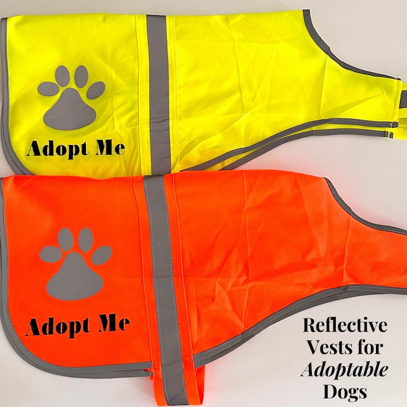 Small Dog to Adopt - Etsy