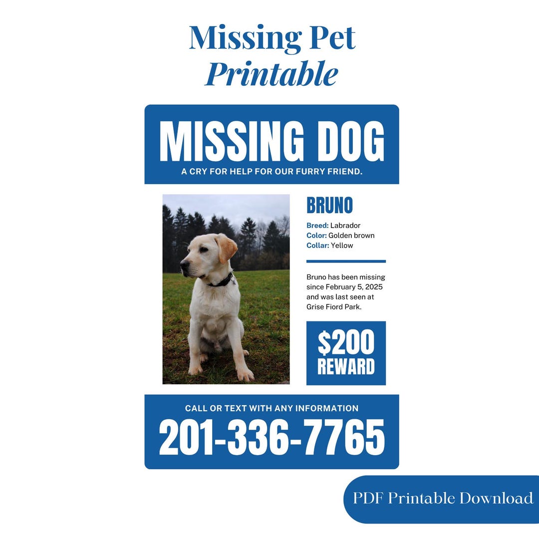Missing Dog Flyer Editable Template Printable Lost Pet Poster ...