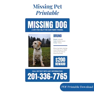 Missing Dog Flyer Editable Template Printable Lost Pet Poster ...