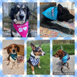 Adopt Me Dog Bandana for Dog Adoption Event Idea Foster Dog Mom ...