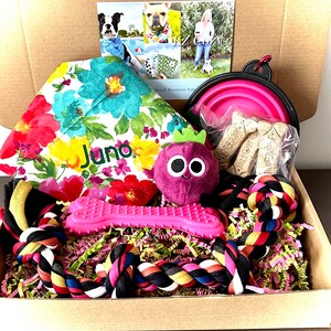 Custom Dog Gift Box With Bandana Toys Treats Puppy Welcome Kit New ...