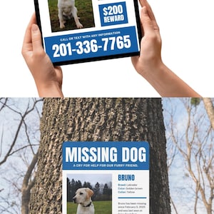 Missing Dog Flyer Editable Template Printable Lost Pet Poster ...