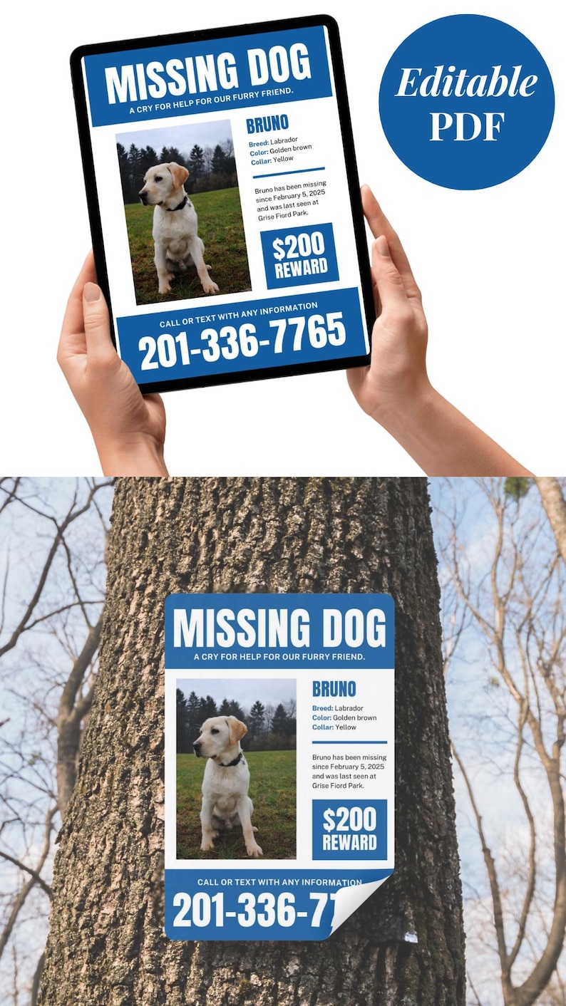 Missing Dog Flyer Editable Template Printable Lost Pet Poster ...