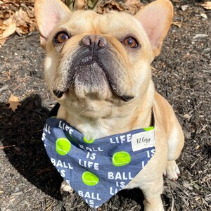 Ball is Life Dog Bandana Pink or Blue Unique Pet Neckwear for Tennis ...