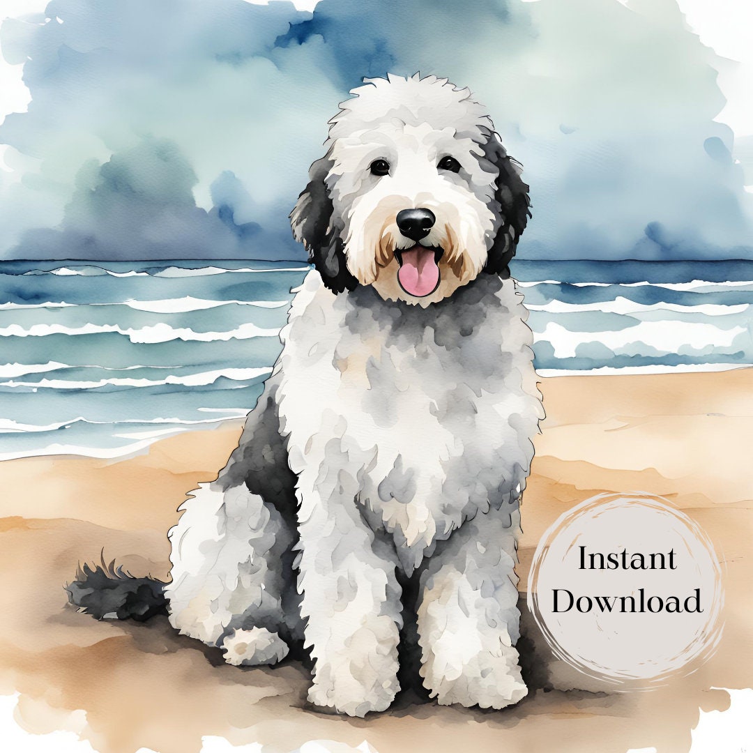 Sheepadoodle Beach Print: Watercolor Dog Portrait, Coastal Wall Art ...
