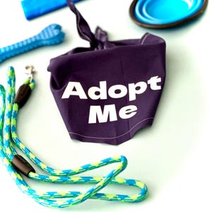 Foster Dog Mom Essentials Gift Box Perfect Pet Adoption Event Gift ...