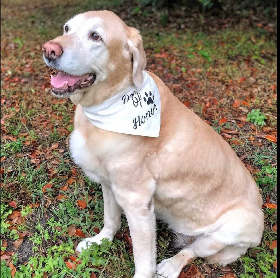 Custom Dog of Honor Bandana for Wedding Bridal Party Accessories ...