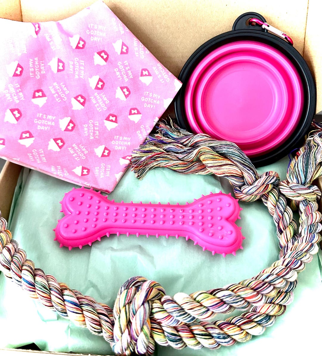 Happy Gotcha Day Girl Gift Box Custom Puppy Celebration Set ...
