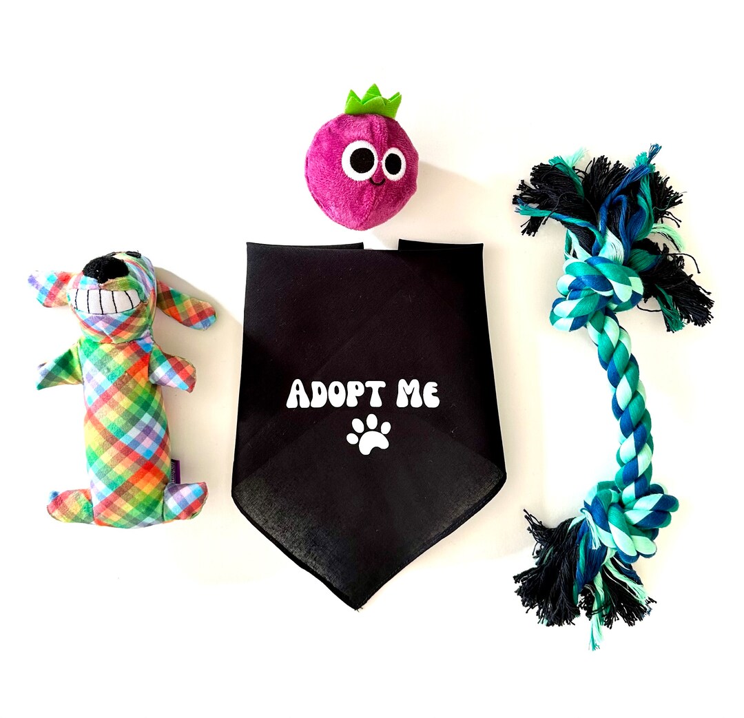 Adopt Me Dog Bandana Pet Adoption Scarf Retro Adoptable Pup Neckwear ...