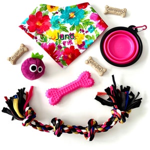 Custom Dog Gift Box With Bandana Toys Treats Puppy Welcome Kit New ...