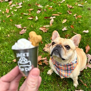 Personalized Pup Cup Puppaccino Custom Dog Lovers Gift Reusable Pet ...