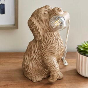 Reggie the Cockapoo Side / Dressing Table Lamp - Etsy UK