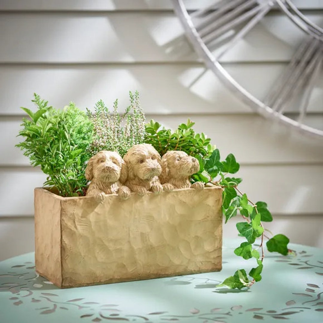 Cockapoo Planter 3 Set Cockapoo Cute Lovely Planter W 13.4cm X L 24.5cm ...