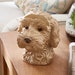 Cockapoo Reading Glasses Stand Holder Pencil Storage Desk Ornament - Etsy