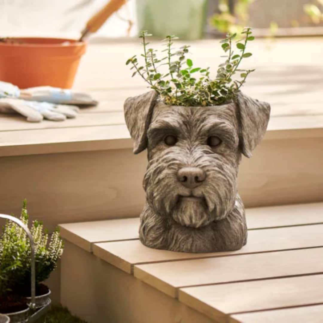 Schnauzer Head Planter Dog Planter Garden Indoor Outdoor Plant Flower ...