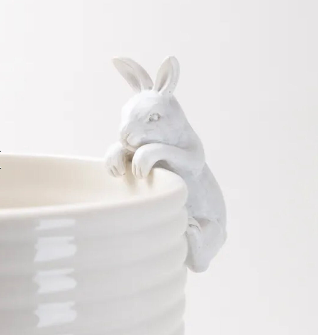 Rabbit Plant Pot Climber Hanger Decor Outdor Indoor - Etsy