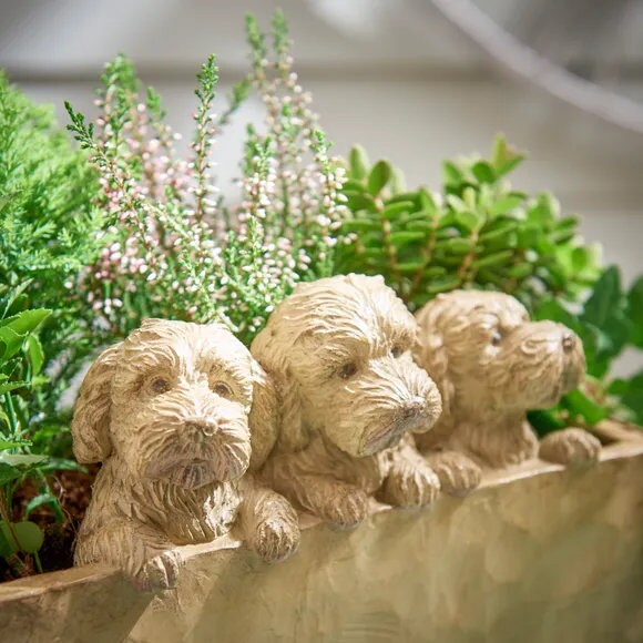 Cockapoo Planter 3 Set Cockapoo Cute Lovely Planter W 13.4cm X L 24.5cm ...