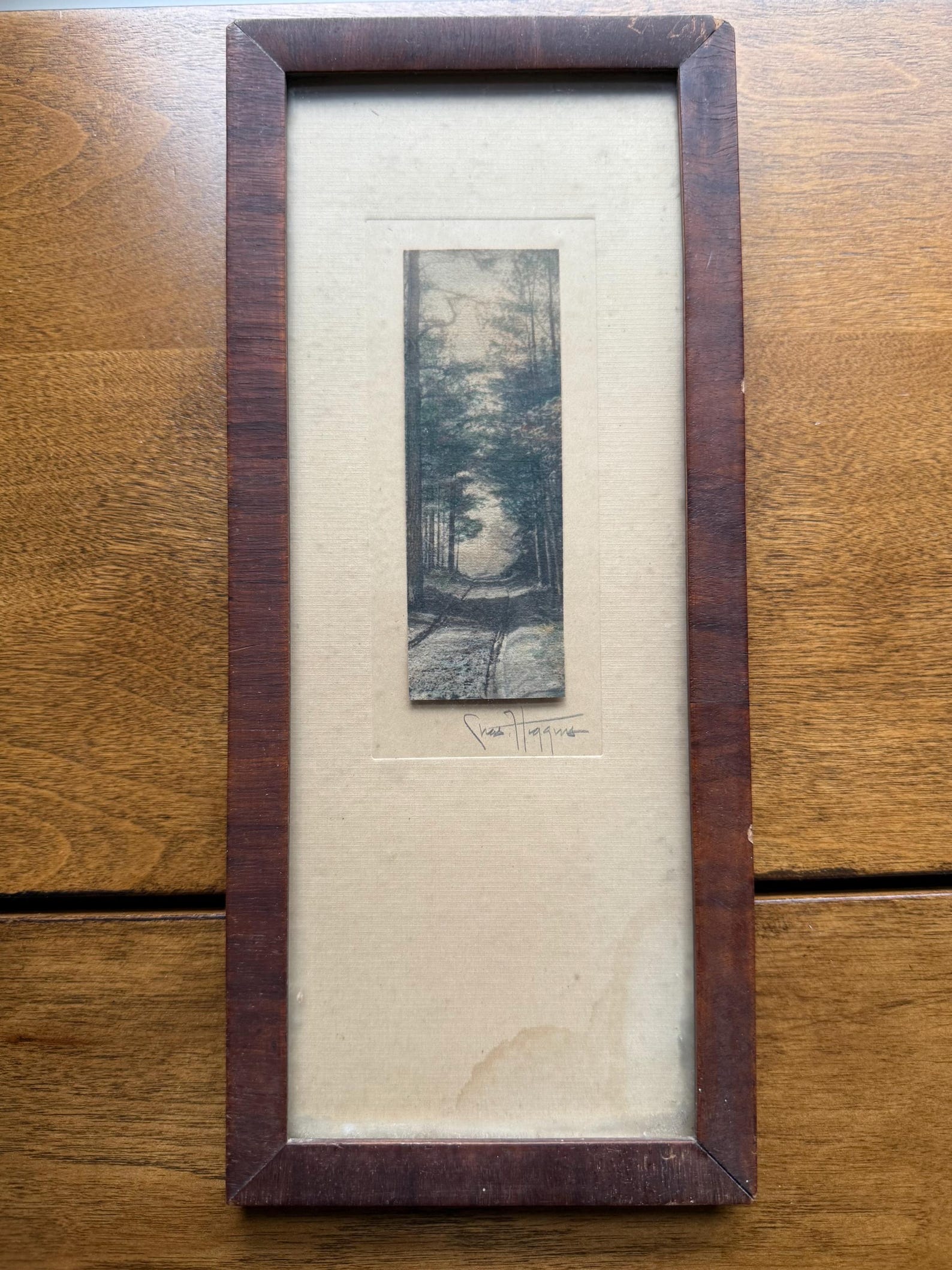1920s Charles (chas) Higgins Tinted Photograph Road in the Woods ...
