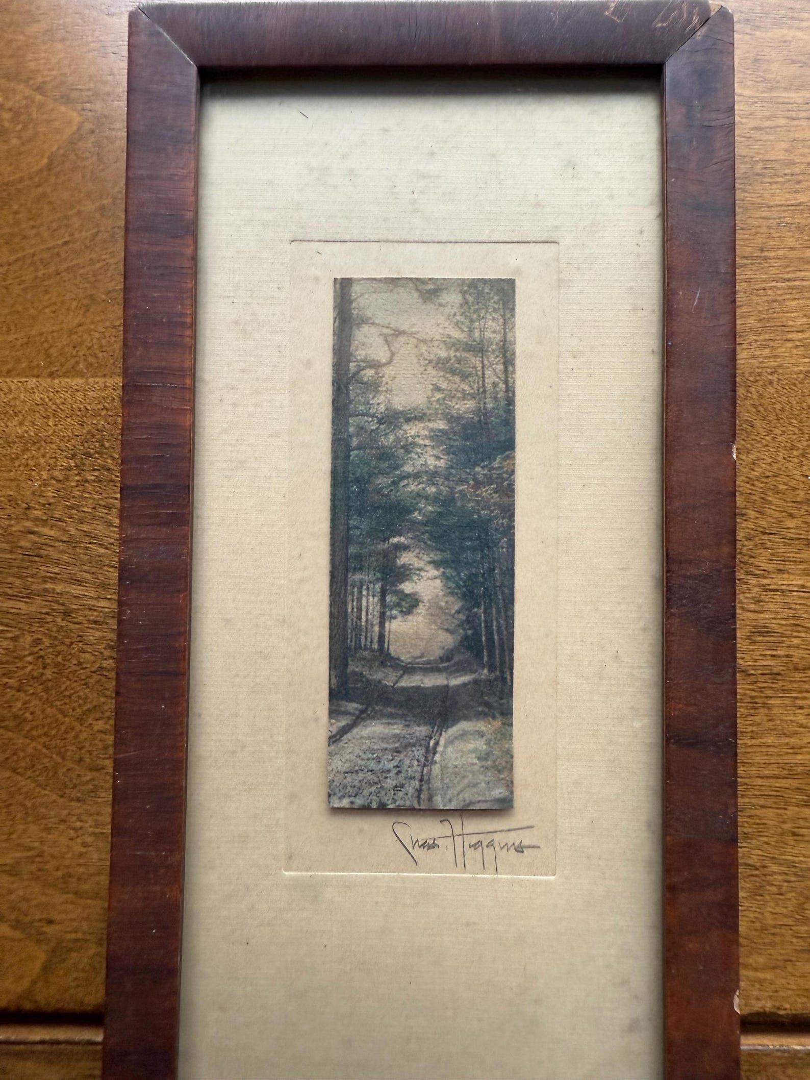 1920s Charles (chas) Higgins Tinted Photograph Road in the Woods ...