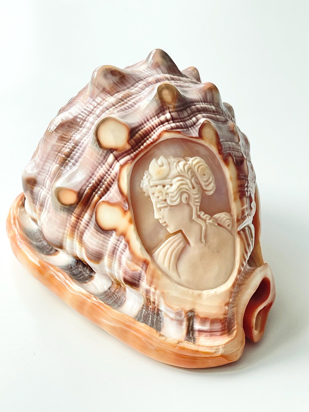 Antique Cameo Carved Conch Shell Italy - Etsy