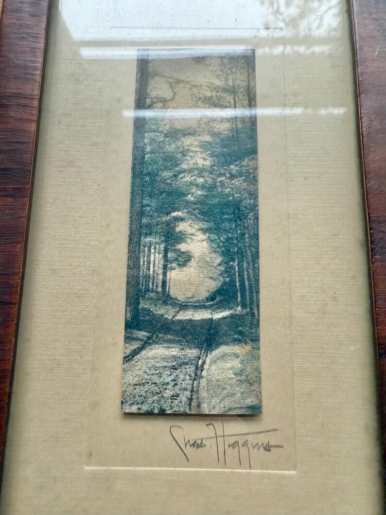1920s Charles (chas) Higgins Tinted Photograph Road in the Woods ...