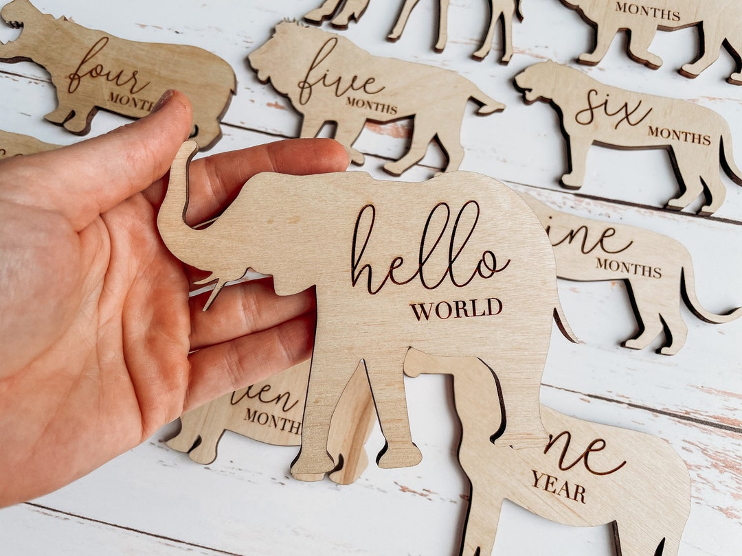 Wooden Monthly Milestone Disc & Safari Animals for Baby Photos ...