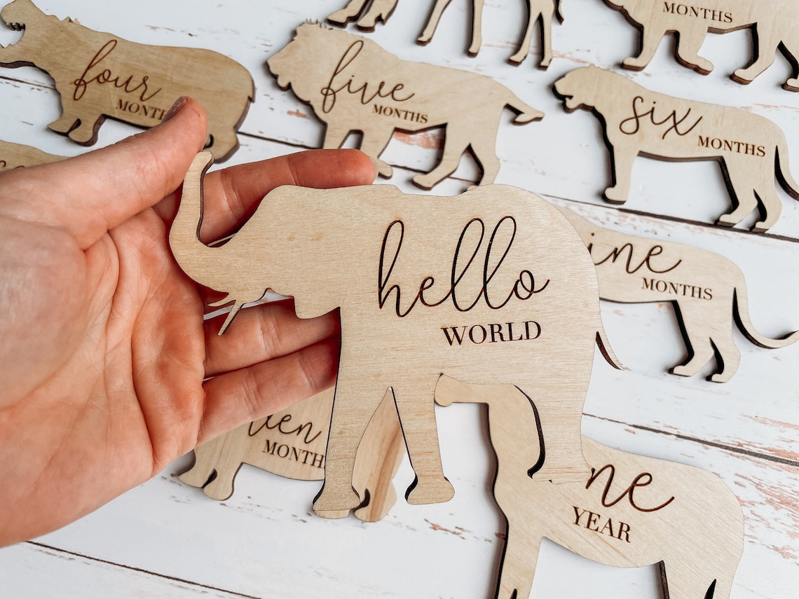 Wooden Monthly Milestone Disc & Safari Animals for Baby Photos - Etsy