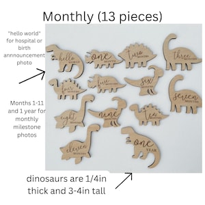 Wooden Monthly Milestone Dinosaur Signs for Baby Photos | Monthly ...