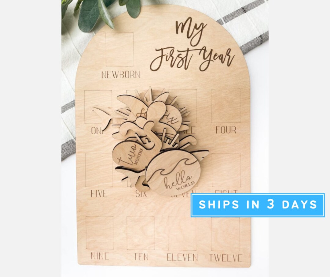 My First Year Bundle Set | Monthly Baby Photo Prop Signs & First ...