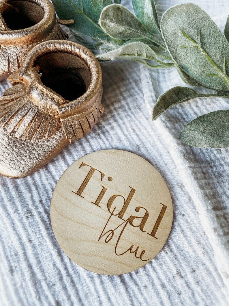 Wooden Monthly Milestone Disc & Safari Animals for Baby Photos ...