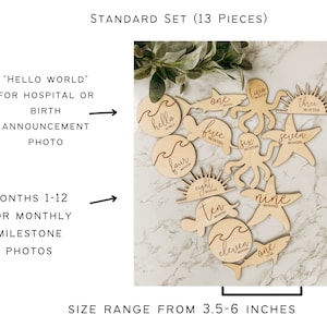 Wooden Monthly Milestone Disc & Sea Animals for Baby Photos | Nautical ...