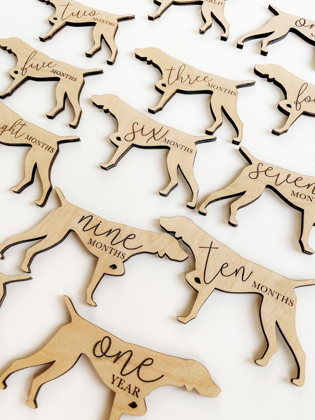 Personalized Dog Theme Nursery Monthly Milestone Plaques | Baby Shower ...