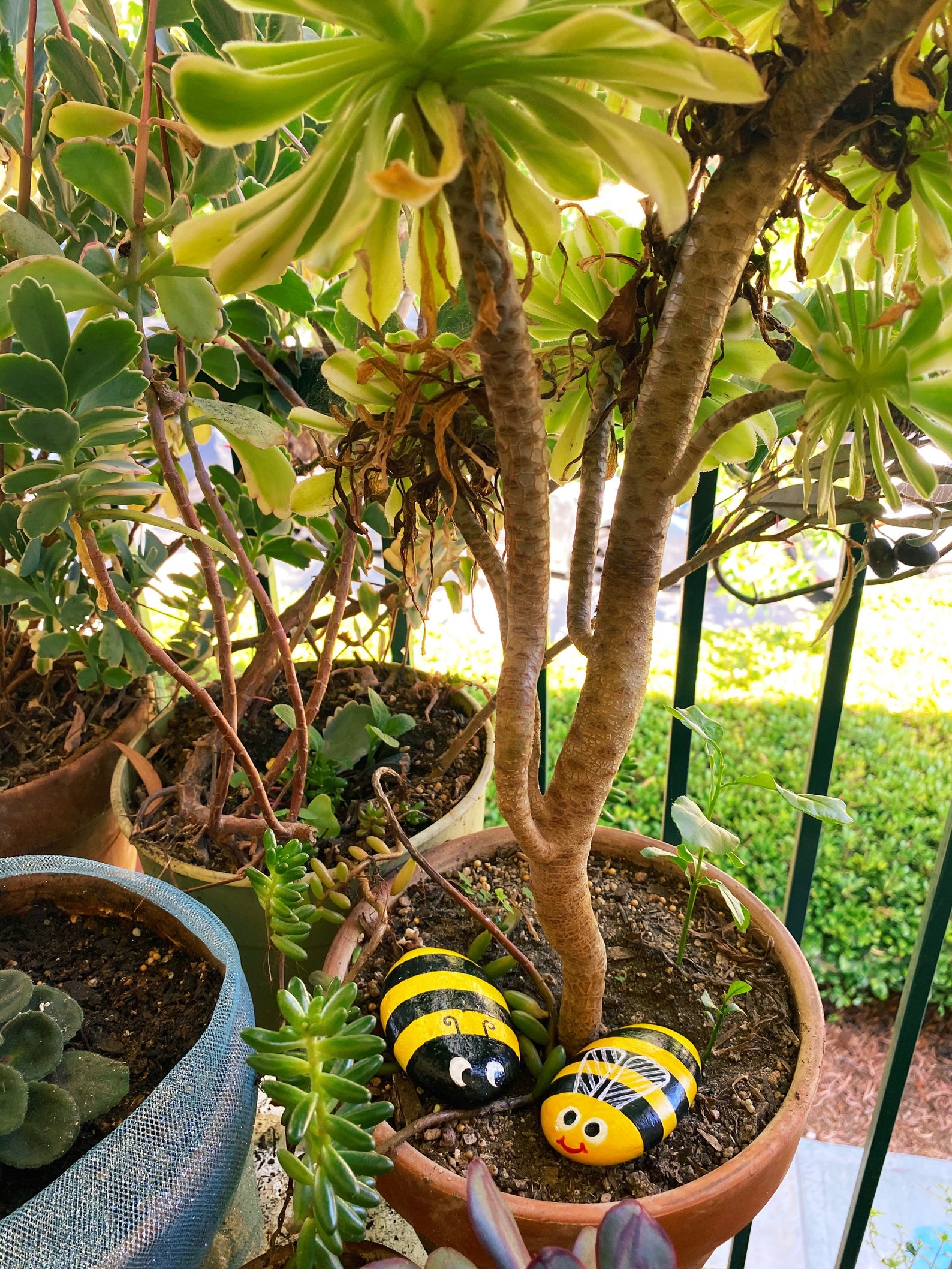 Painted Bumble Bee Stones Paperweights Bumble Bee Art - Etsy Canada