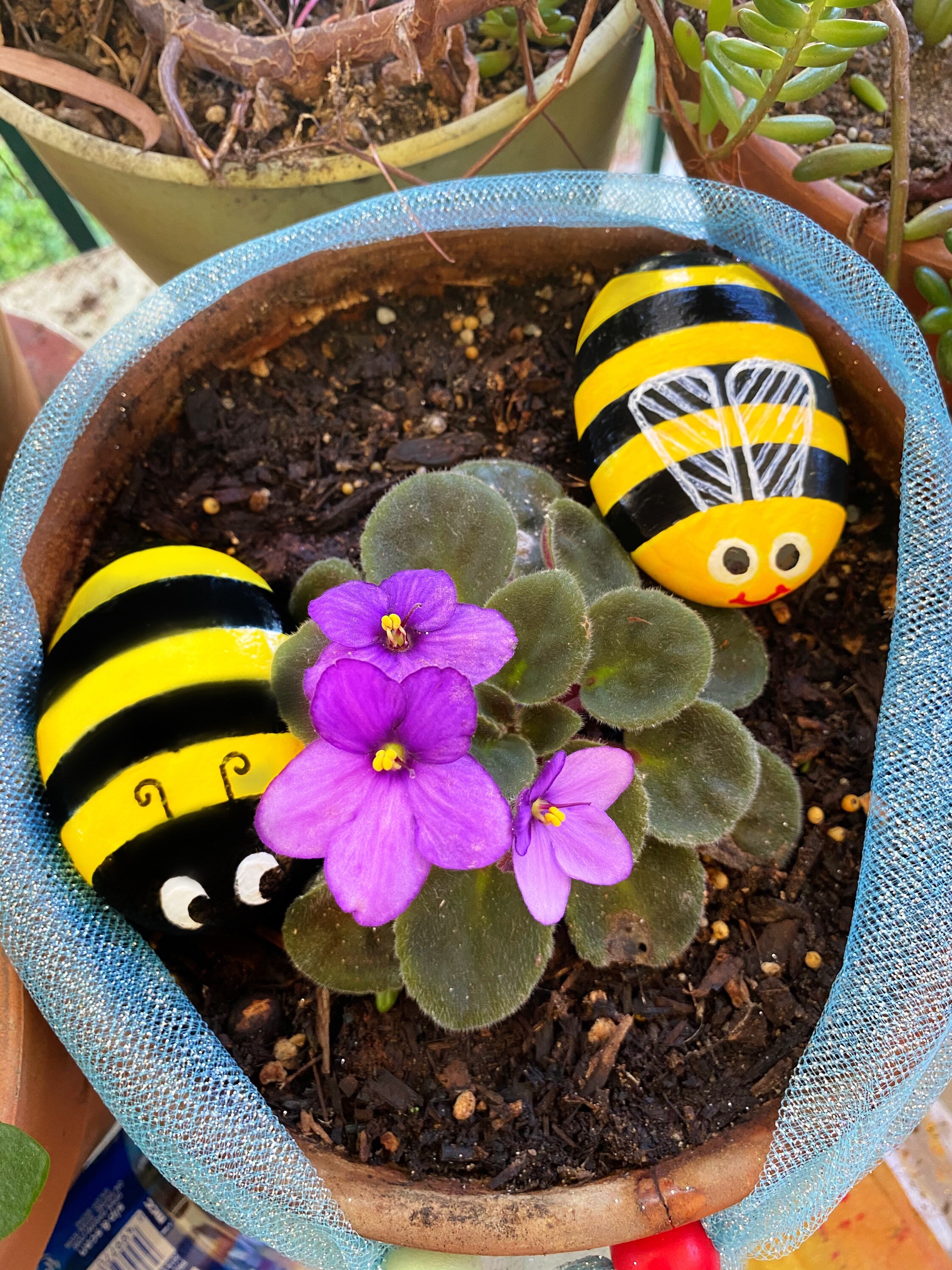Painted Bumble Bee Stones Paperweights Bumble Bee Art - Etsy Canada