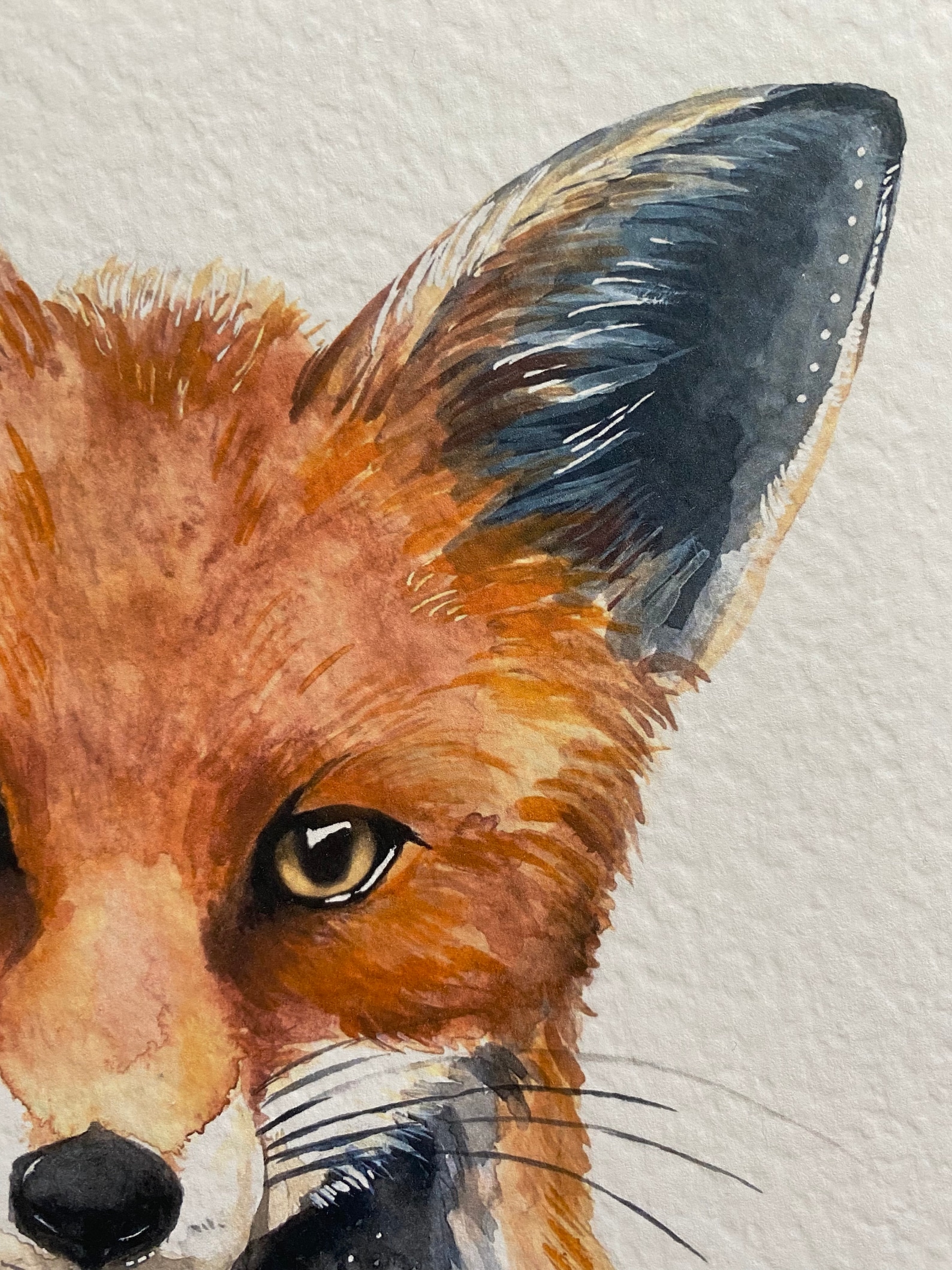 Fox watercolour art A5 occasion cards | Etsy