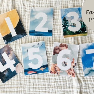 Days of Creation Flash Cards - Water Color God's 7 Days of Creation ...