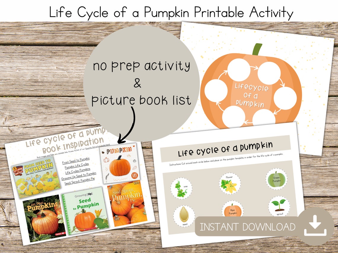 Life Cycle of a Pumpkin Easy Pumpkin Craft for Kids | Pumpkin Life ...