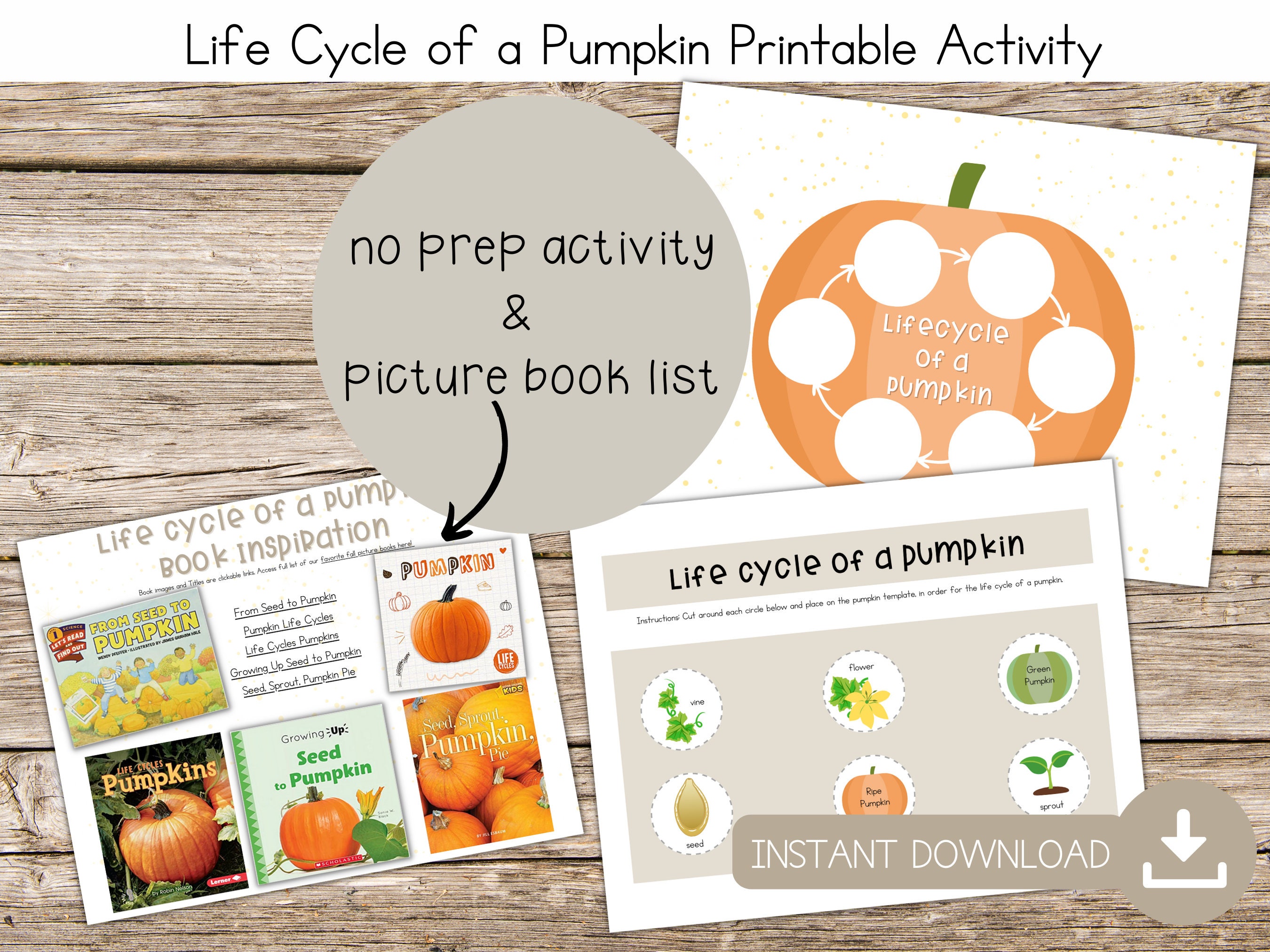 Life Cycle of a Pumpkin Easy Pumpkin Craft for Kids | Pumpkin Life ...