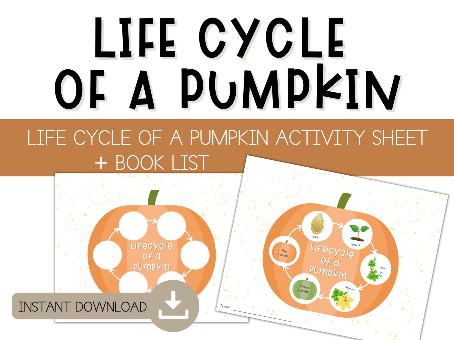 Life Cycle of a Pumpkin Easy Pumpkin Craft for Kids | Pumpkin Life ...