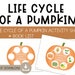 Life Cycle of a Pumpkin Easy Pumpkin Craft for Kids | Pumpkin Life ...
