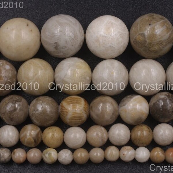 Fossil Beads - Etsy